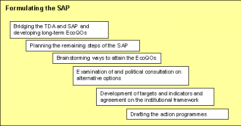 The TDA/SAP process